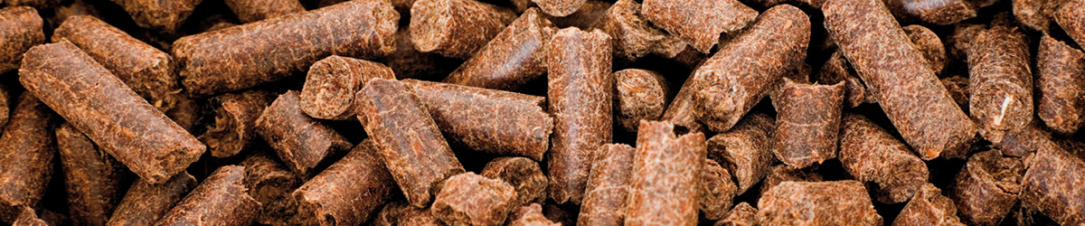 DLG TestService: Certification of solid biofuels