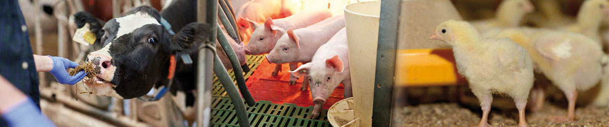 DLG TestService: Testing of emission reduction measures